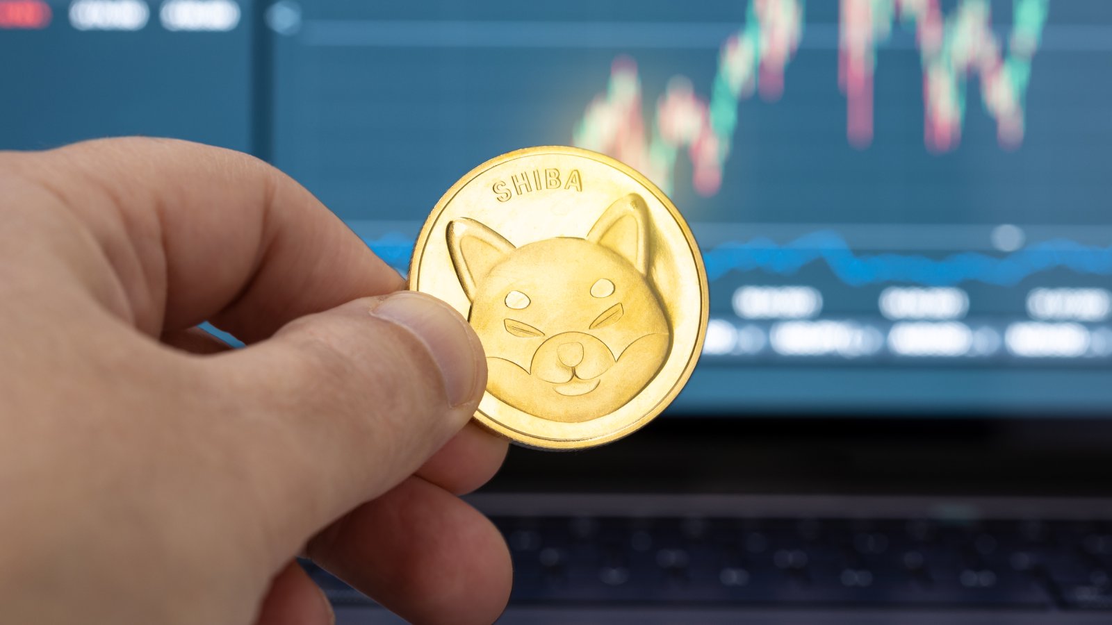 Shiba coin: co musisz wiedzieć o kryptowalucie Shiba Inu - Tup.com.pl